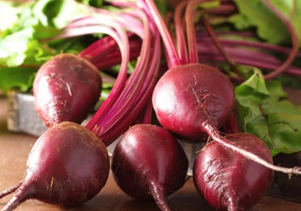 Detroit Dark Red beet root seeds Beta vulgaris - LUTESEEDS